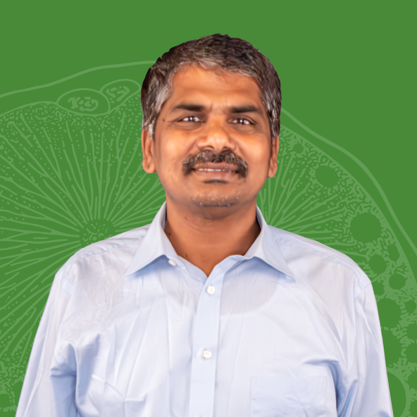 About Us | Cellsonics